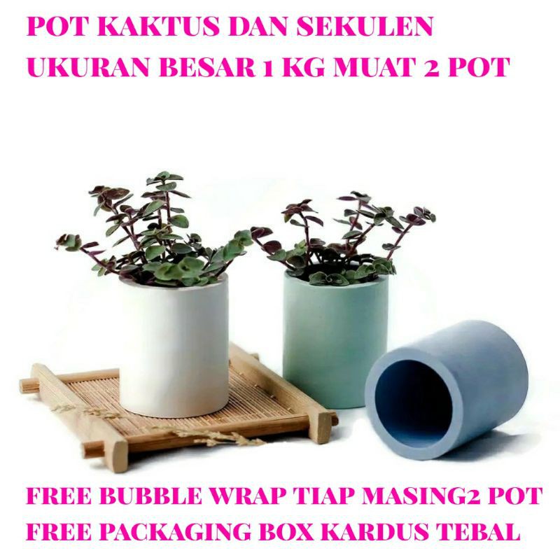 Jual POT SEKULEN DAN KAKTUS POT MEJA TAMU CANTIK UKURAN BESAR 10cm ...