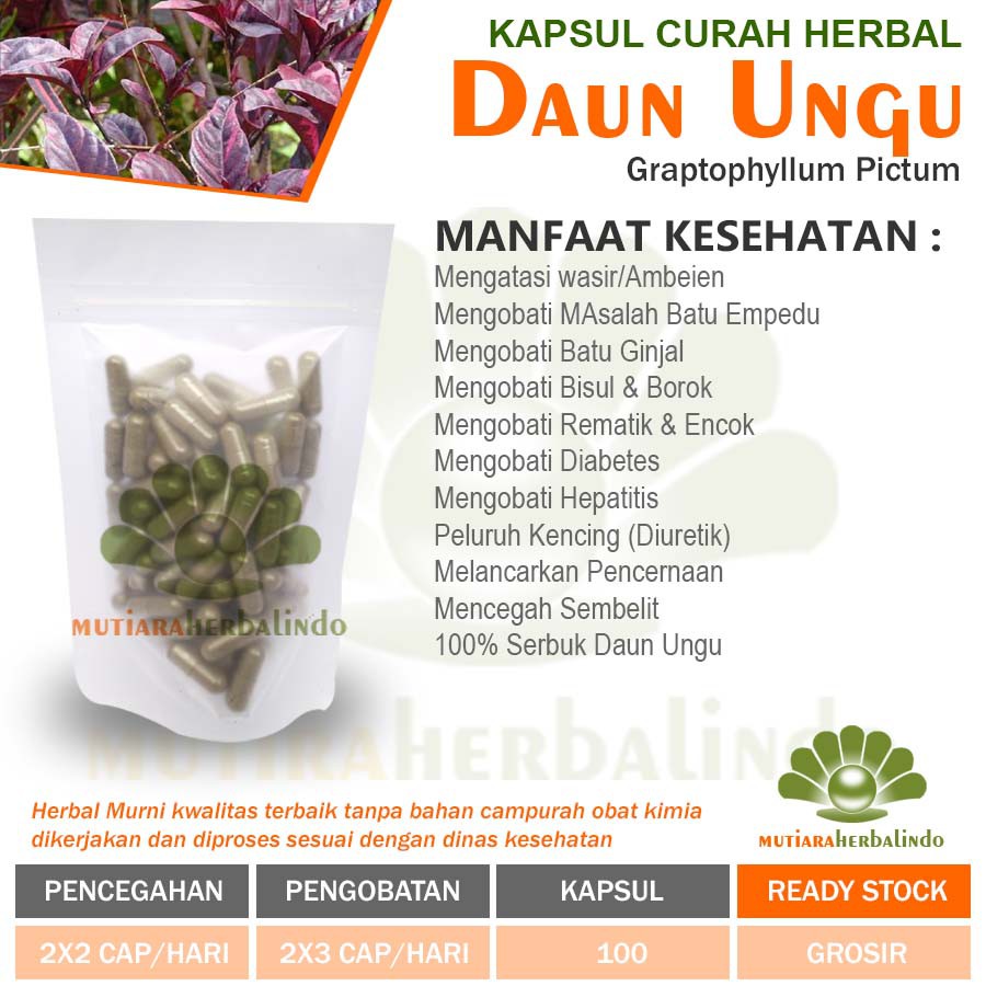 Jual DAUN UNGU 100 Kapsul Herbal Rematik Sakit Menopause Wasir Borok Empedu | Shopee Indonesia