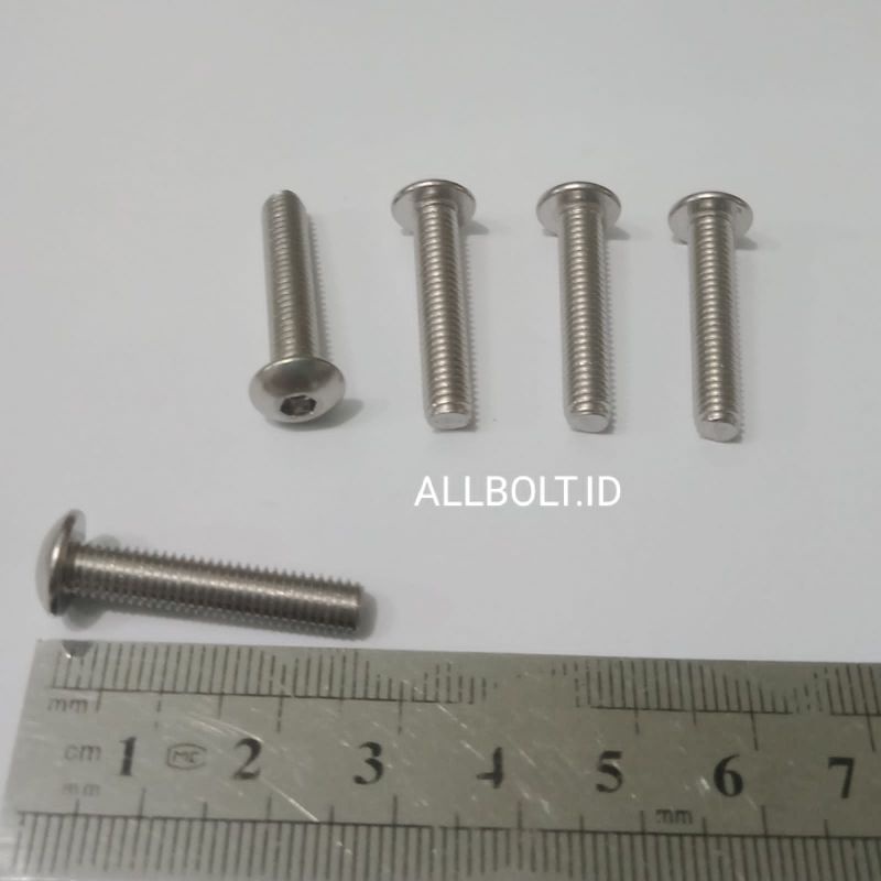 Jual Baut L button stainless 8/5mm x 25mm (2 biji) | Shopee Indonesia