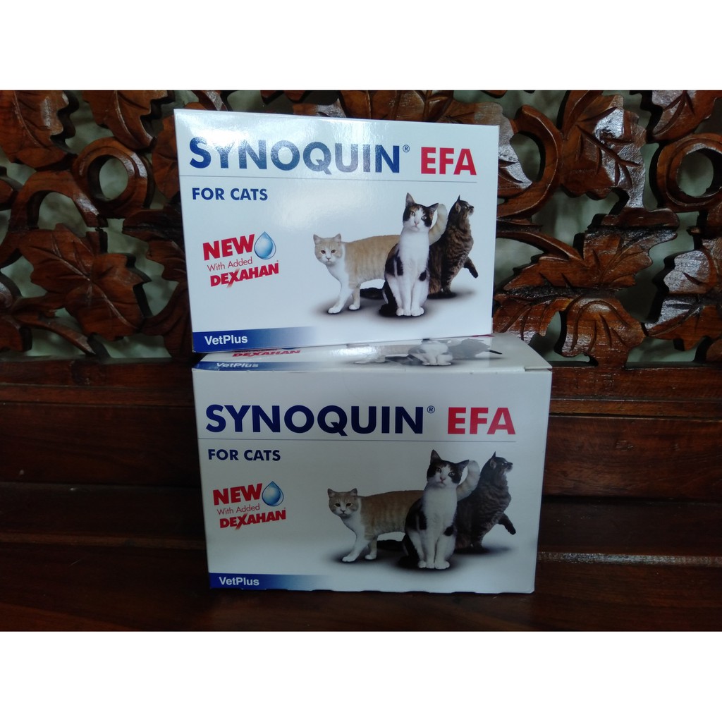 Jual SYNOQUIN EFA CAT suplemen tulang dan sendi untuk kucing | Shopee ...