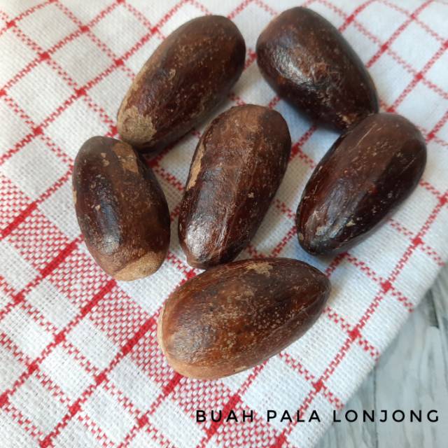 Jual Biji Pala / Nutmeg / Bumbu Masak / Myristica fragrans ...