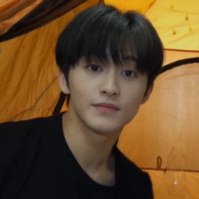 Jual [Pelunasan dan Readystock, baca deskripsi] Mark Lee Cheetah Lee ...