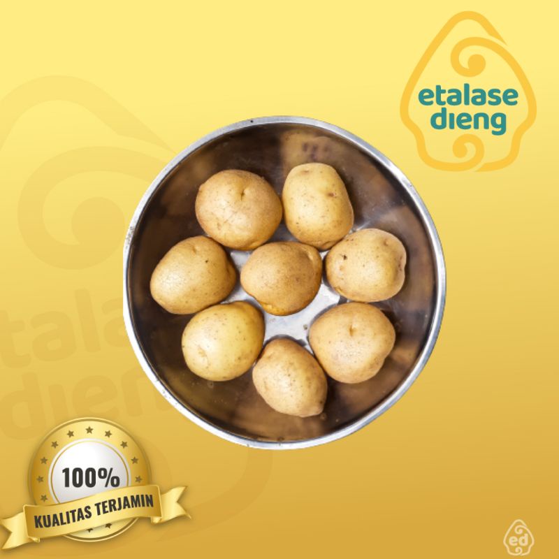 Jual Kentang / Kentang Dieng / Kentang Fresh / 1 Kg / Uk Sedang ...