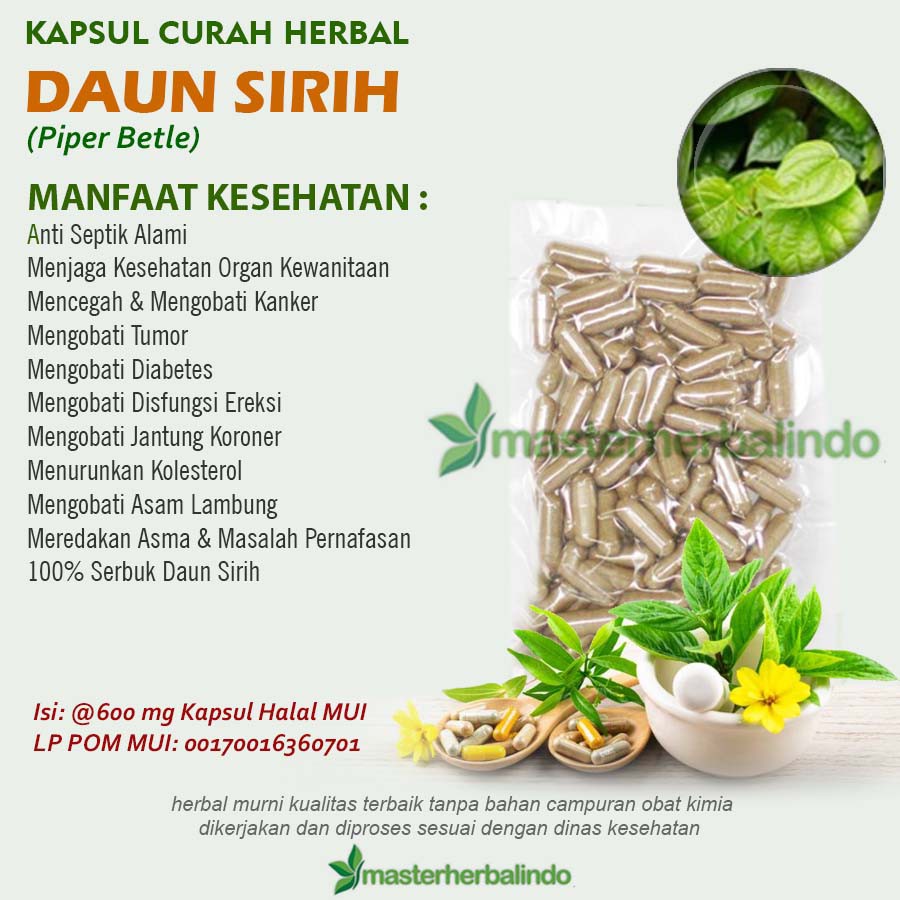 Jual DAUN SIRIH 100 Kapsul Herbal Antiseptik Prostat Sendi Lambung ...