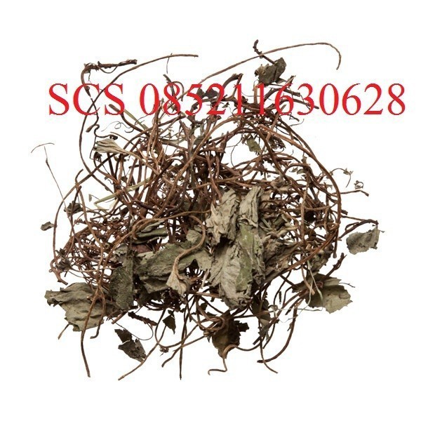 Jual Bei Xi Xin chinese wild ginger asarum asari sesim 细辛 1kg | Shopee ...