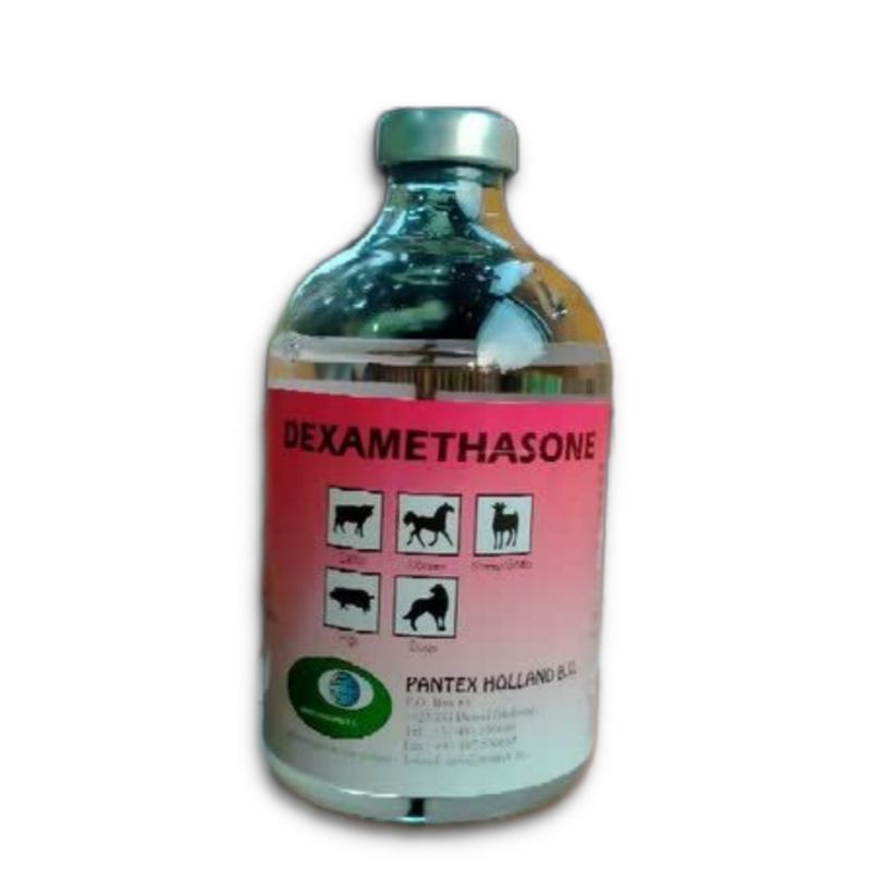 Jual dexa pantex 100ml methasone | Shopee Indonesia