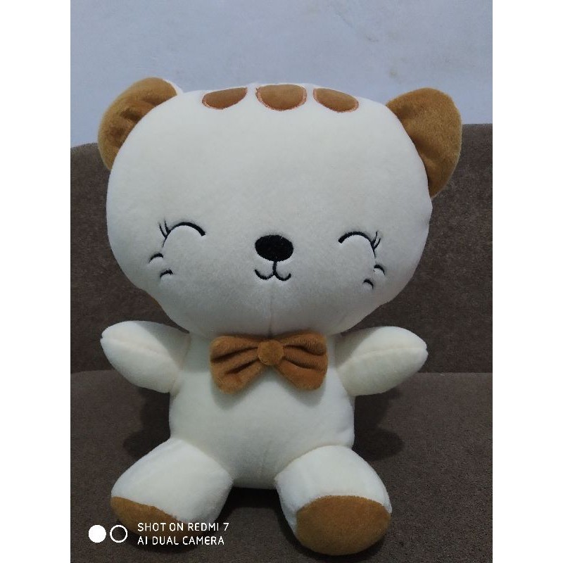 Jual Boneka kucing cantik L | Shopee Indonesia
