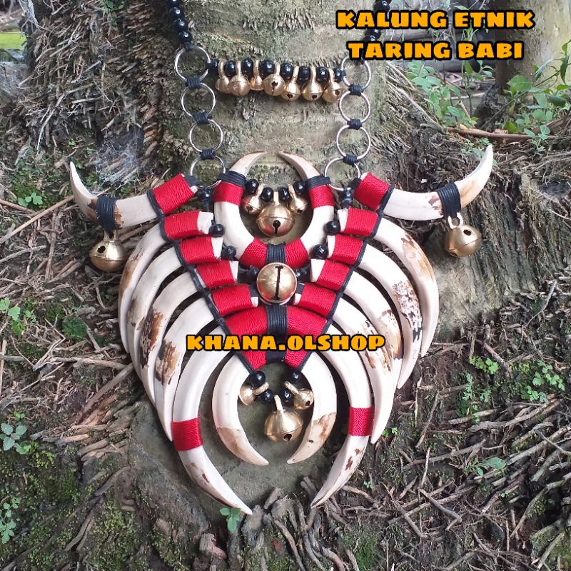 Jual Kalung Etnik Dayak Taring Babi Kalimantan Replika | Shopee Indonesia