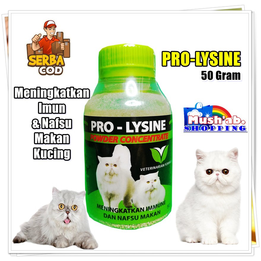 Jual Pro Lysine Obat Kucing Penambah Nafsu Makan dan Imun 50 Gram ...