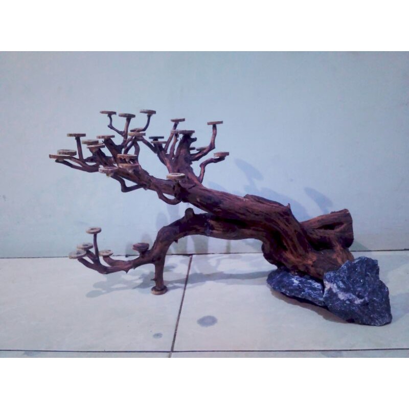 Jual bonsai aquascape-full akar rasmala | Shopee Indonesia