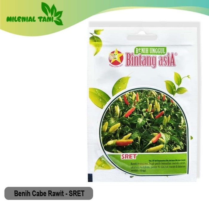 Jual MIni Pack Benih Cabe Rawit - SRET | Shopee Indonesia