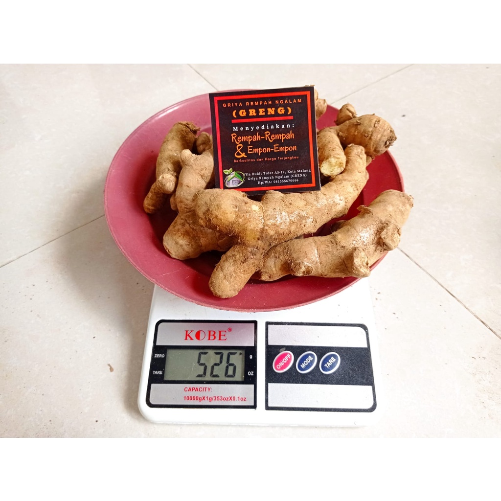 Jual KUNYIT PUTIH SEGAR/ TEMU PUTIH/ CURCUMA ZEDOARIA 500 g | Shopee ...