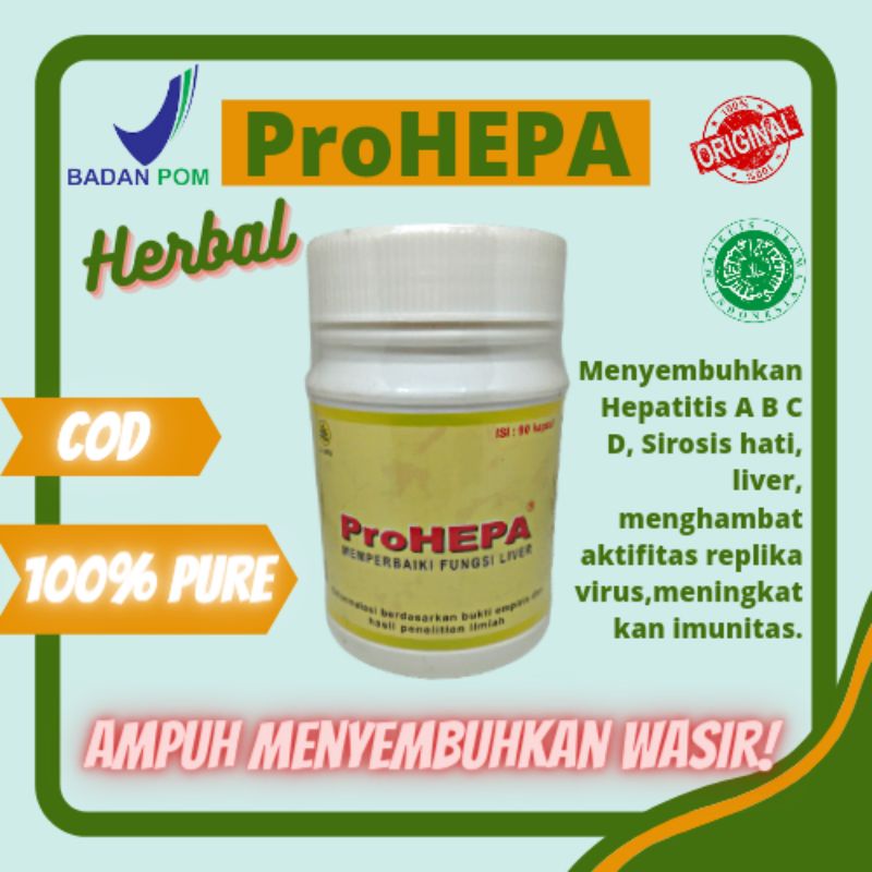 Jual Obat Liver Hepatitis A B C Sirosis Hati Fatty Liver ProHEPA ...