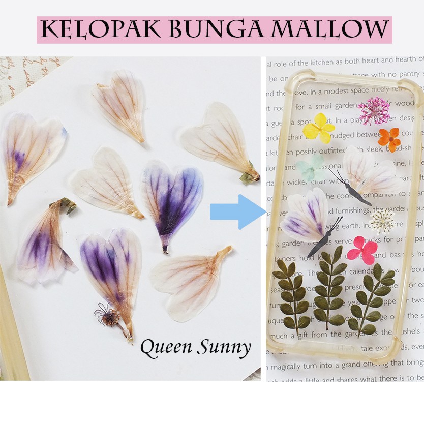 Jual Kelopak Bunga Kering Asli Bunga Mallow Isian Resin Topping Hiasan ...