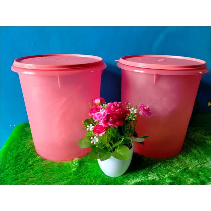 Jual TOPLES UKURAN BESAR , TOPLES MEWAH //toples Giant/ (2pcs) | Shopee ...