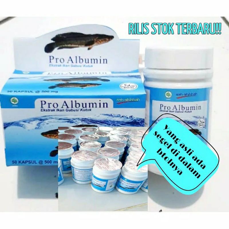 Jual Pro Albumin Ash-Shihhah Kapsul Ekstrak Ikan Gabus / Kutuk Original | Shopee Indonesia
