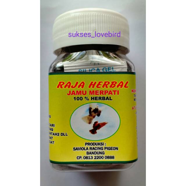 Jual Jamu Merpati Raja Herbal(250 butir) | Shopee Indonesia
