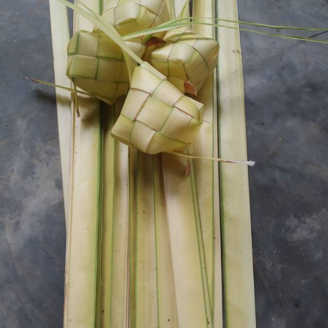 Jual Daun kelapa muda bahan untuk ketupat atau janur | Shopee Indonesia