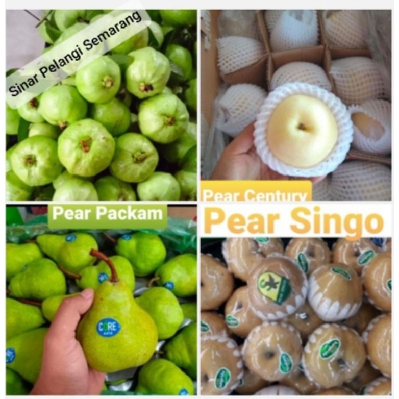 Jual PEAR CENTURY, PEAR PACKAM, PEAR SINGO, PEAR MERAH, BUAH NAGA,JAMBU ...