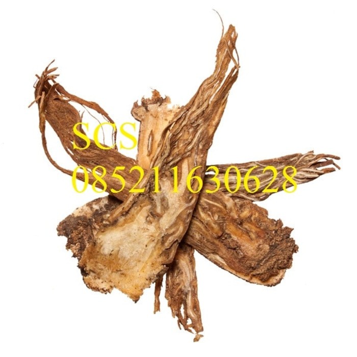 Jual dang gui pian 100 gram angelica 100 gram | Shopee Indonesia