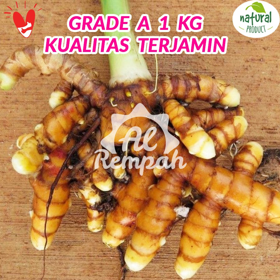 Jual Kunir / Kunyit Segar Organik 1kg Murah - Gunung Kidul | Shopee ...
