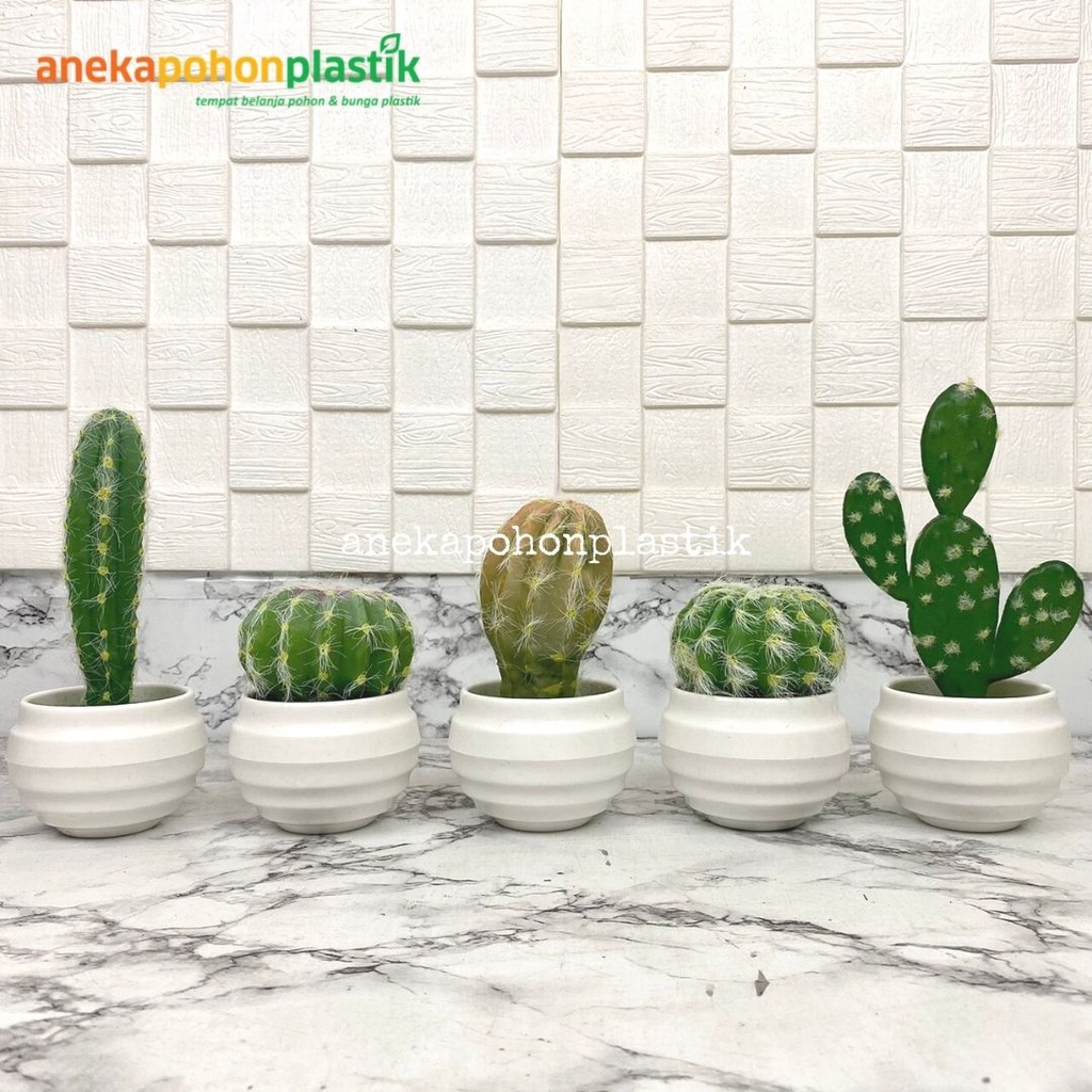 Jual Tanaman Hias Kaktus Latex Artificial Bunga Plastik Pot Ulir Bulat ...