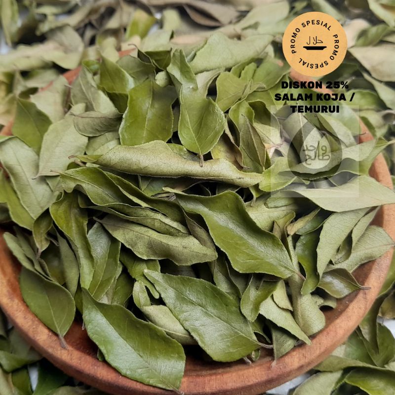 Jual Daun salamkoja kering daun temurui daun kari kering daun kolestrol ...