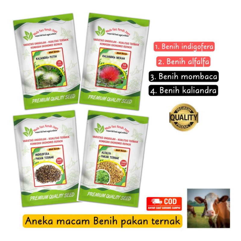 Jual PREMIUM Benih indigofera super - benih alfalfa - benih mombaca F1 ...