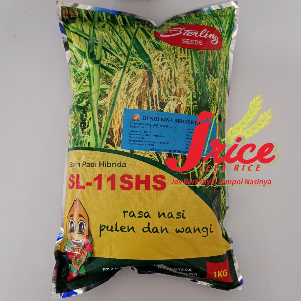Jual BENIH PADI HIBRIDA SL-11SHS KEMASAN 1 KG | Shopee Indonesia