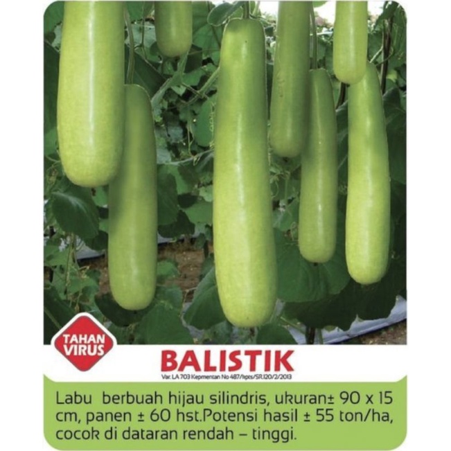 Jual benih LABU AIR panjang balistik tahan virus isi 1 biji | Shopee ...