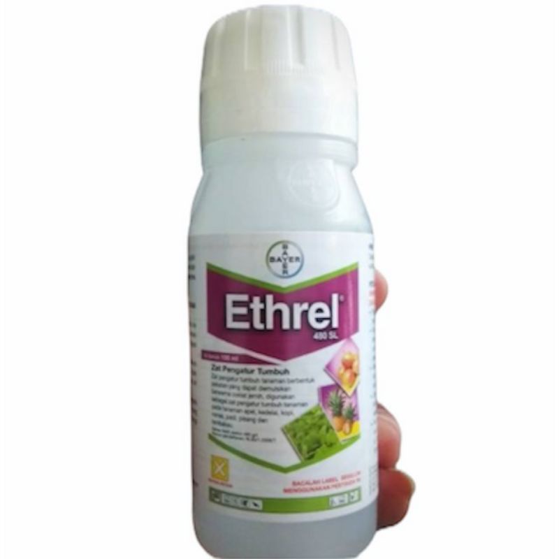 Jual ethrel 480 sl (kemasan10ml) | Shopee Indonesia