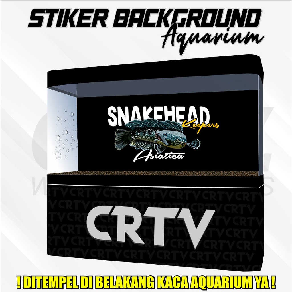 Jual Stiker Background Aquarium Channa Predator Fish Aquascape - Crtv ...