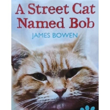 Jual A street cat named bob | Shopee Indonesia