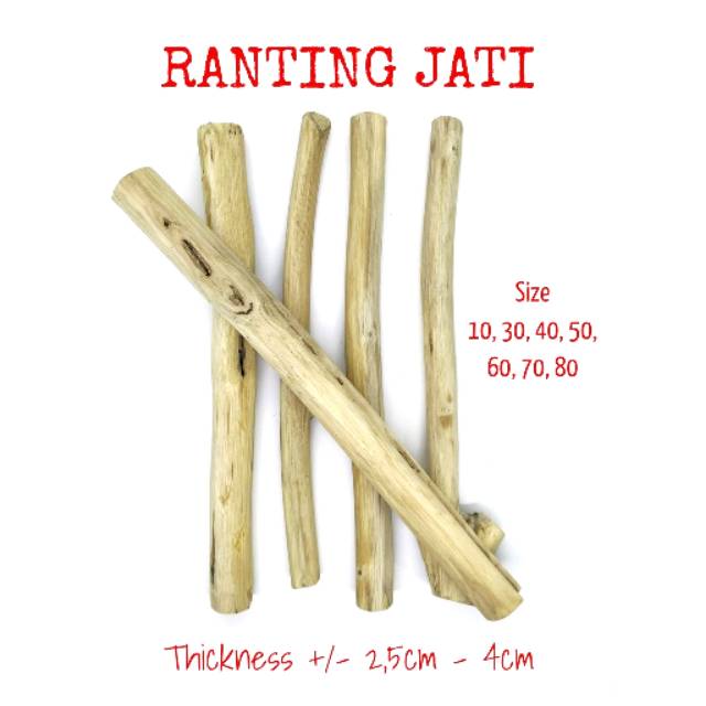 Jual Ranting Jati 30cm - 70cm | Shopee Indonesia