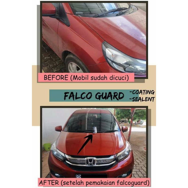 Jual Falco Guard (dapat 1 paket =2 botol) | Shopee Indonesia