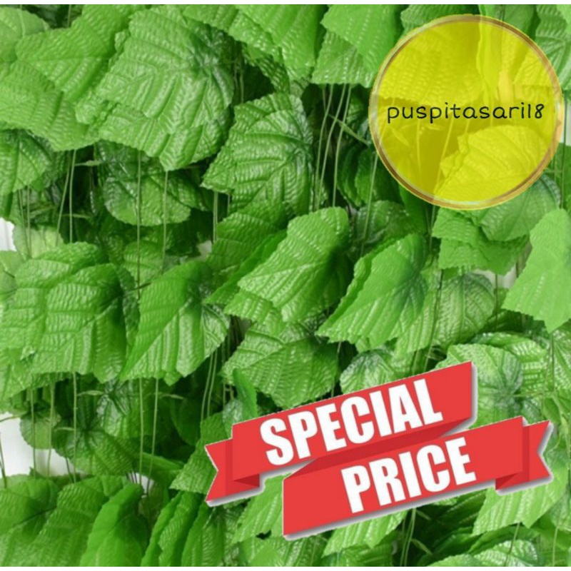Jual daun rambat anggur besar hijau dekorasi taman lamaran tunangan ...