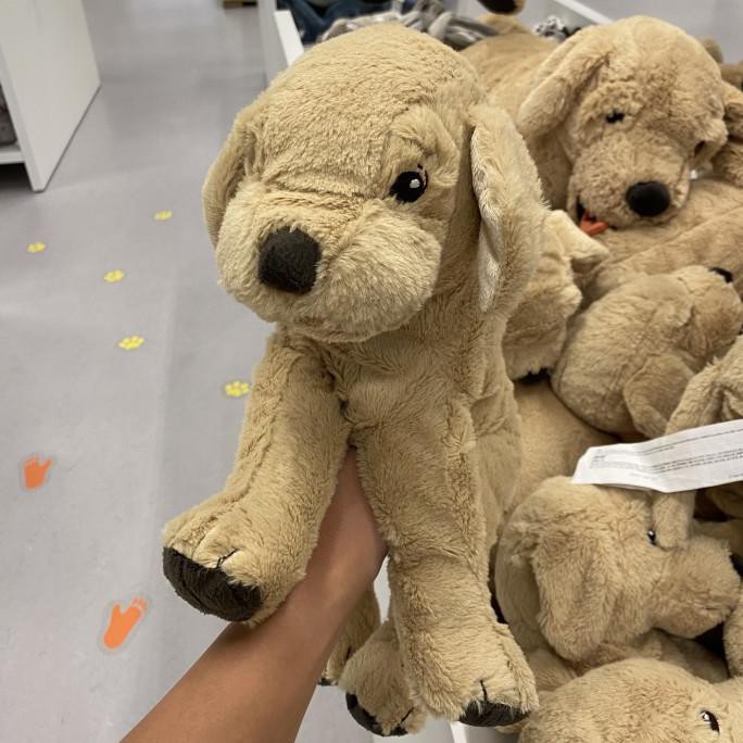 Jual BONEKA ANJING GOLDEN RETRIEVER IKEA/ BONEKA BINATANG / BONEKA ...