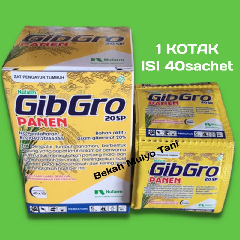 Jual GIBGRO PANEN 20 PANEN (1 KOTAK ISI 40 SACHET/BIJI )GA3 Zpt gibro ...