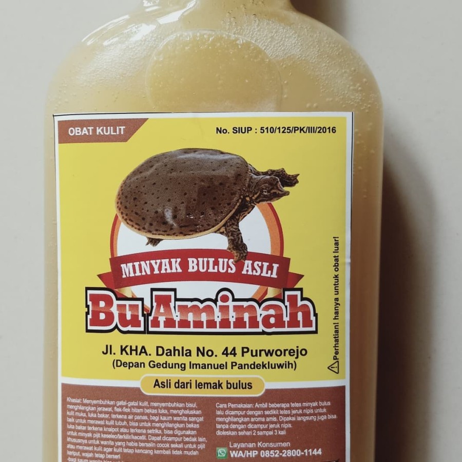 Jual Minyak Bulus Asli Minyak Labi Labi 100% Original Perawatan ...