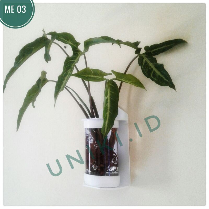 Jual Pot Tempel Dinding Cantol Pot Hidroponik Pot Dinding Putih ...