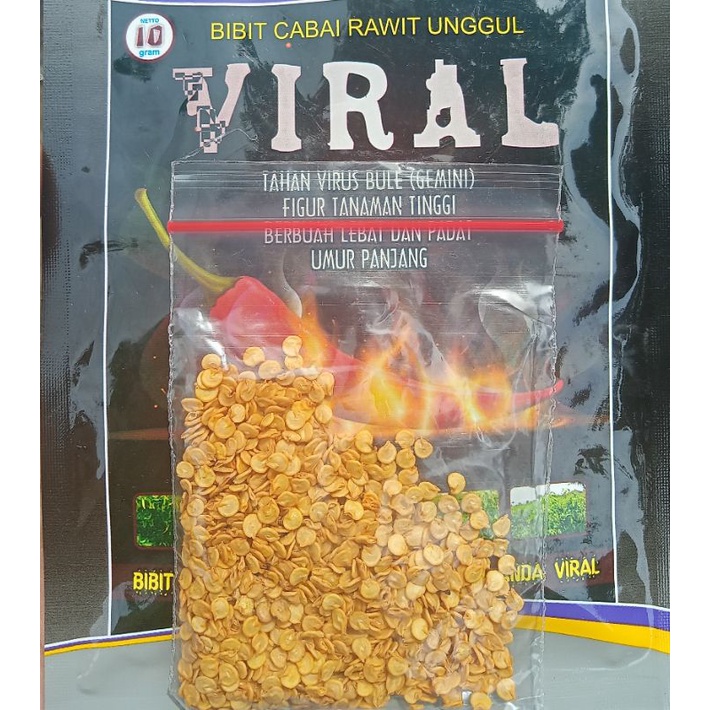 Jual 50 Butir Benih CABE CABAI RAWIT VIRAL ( Kemasan Repack ) | Shopee ... Jual 50 Butir Benih CABE CABAI RAWIT VIRAL ( Kemasan Repack ) | Shopee ...