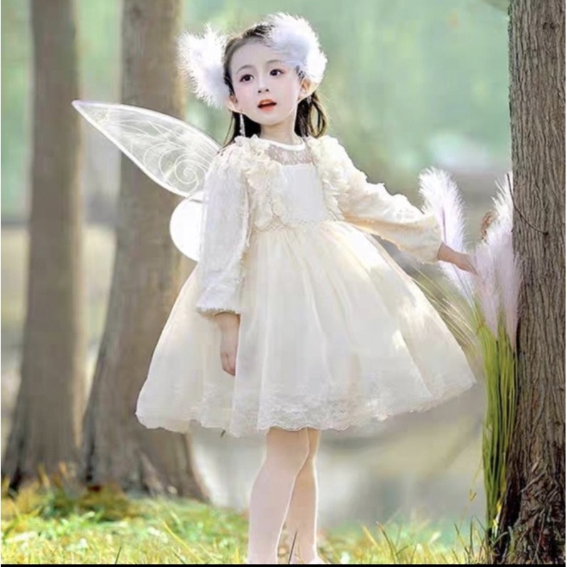 Jual jojokids | sayap peri / sayap bidadari anak / elf wing clear swirl ...