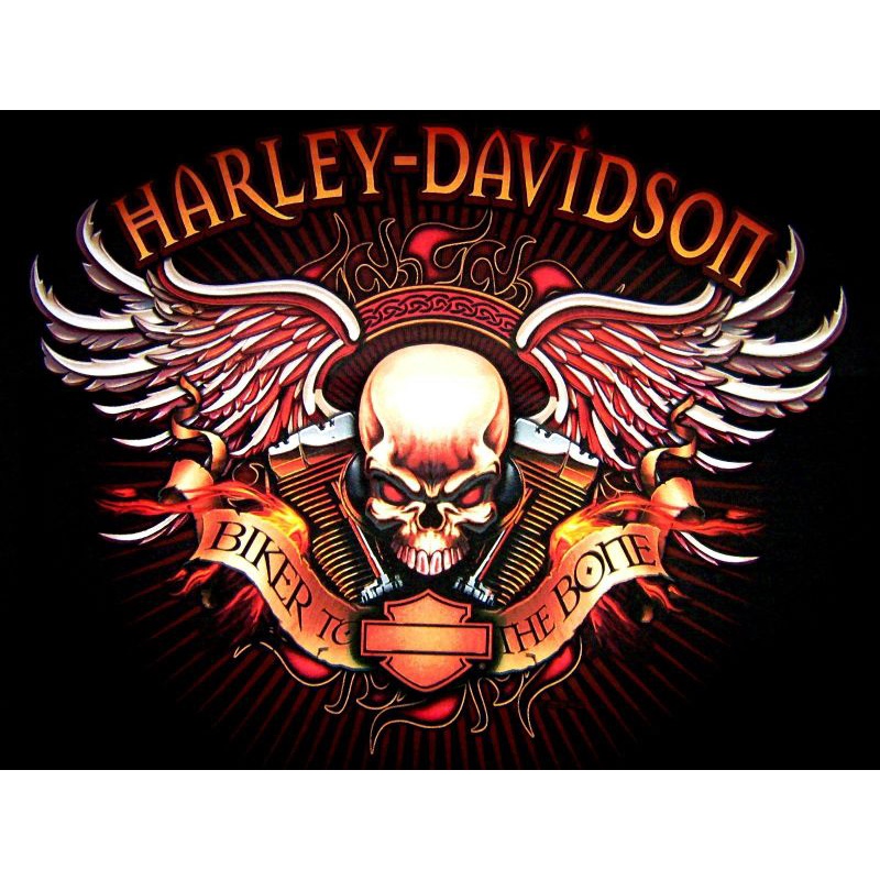 Jual Stiker Harley Davidson Ghost Rider | Shopee Indonesia