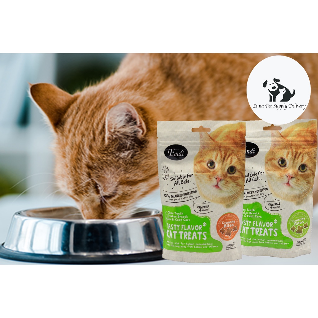 Jual Snack Kucing Cat Treat Shrimp,Fish,Salmon Endi 60 gr Fresh Gigi ...