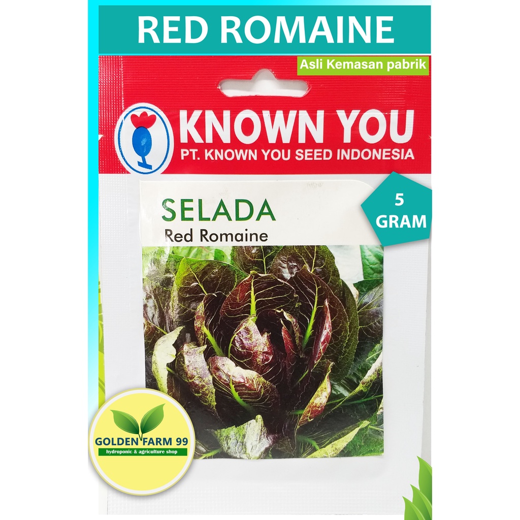 Jual Benih bibit selada red romaine harga murah original packing | Shopee Indonesia