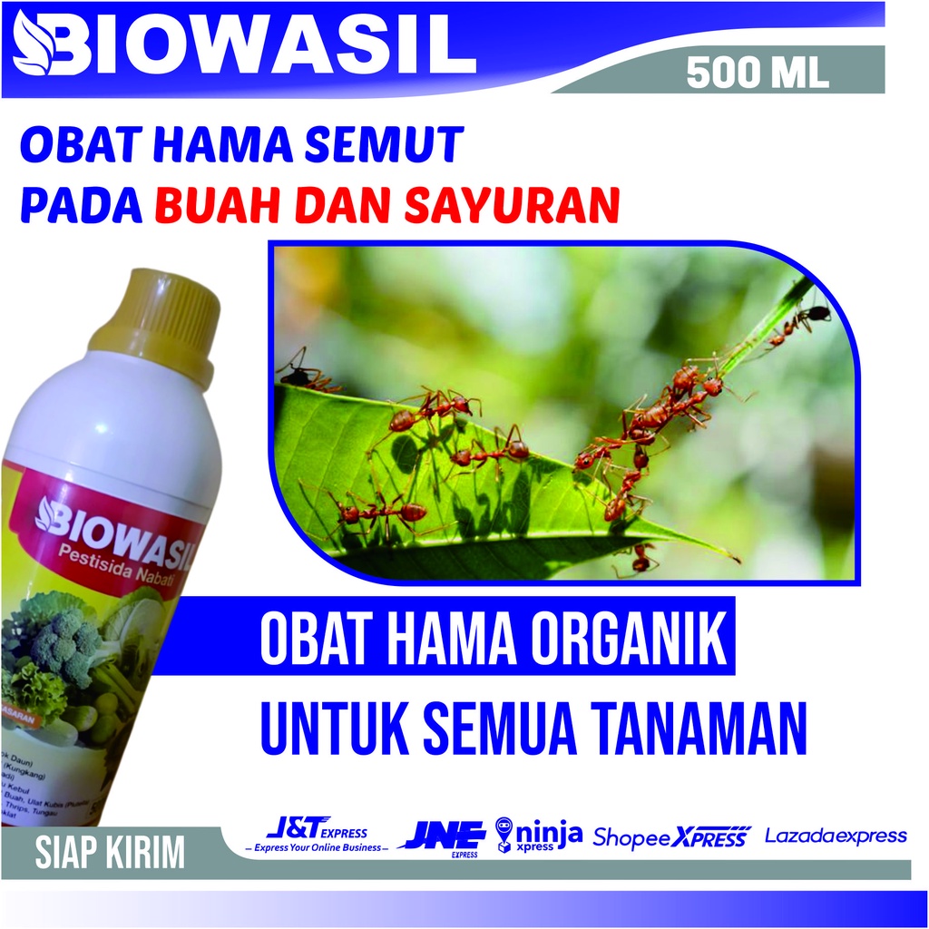 Jual Promo Cod Obat Hama Semut Tangkal Paling Ampuh Biowasil Pestisida ...