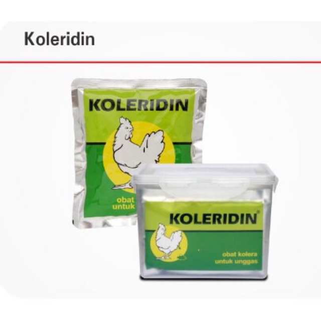 Jual Medion / Koleridin 100 gr / mengatasi infeksi semua bakteri Gram ...