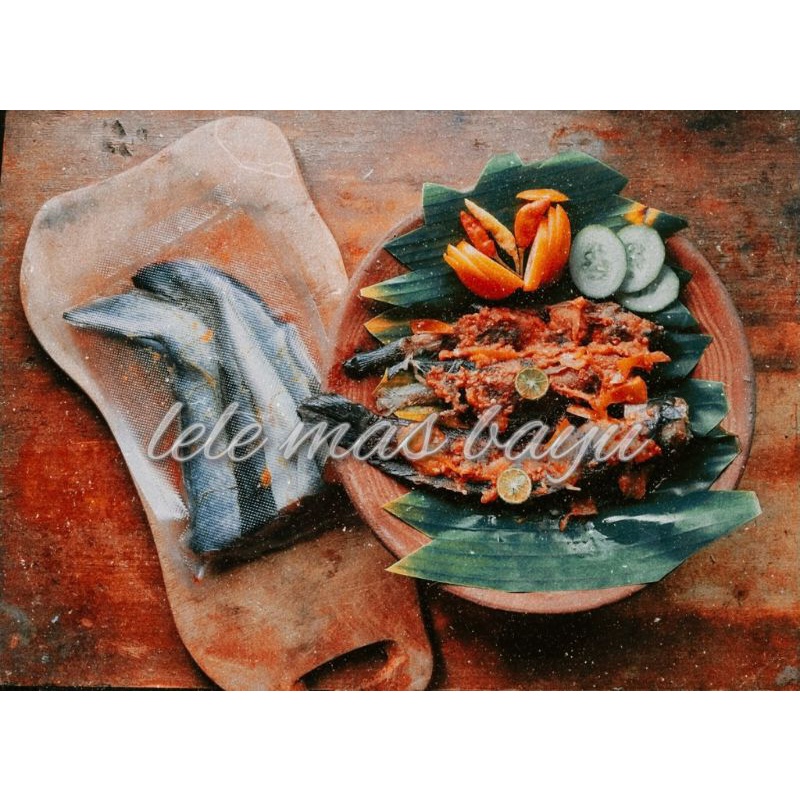 Jual Frozen Food, lele bumbu goreng kuning tanpa kepala praktis isi 4 ...