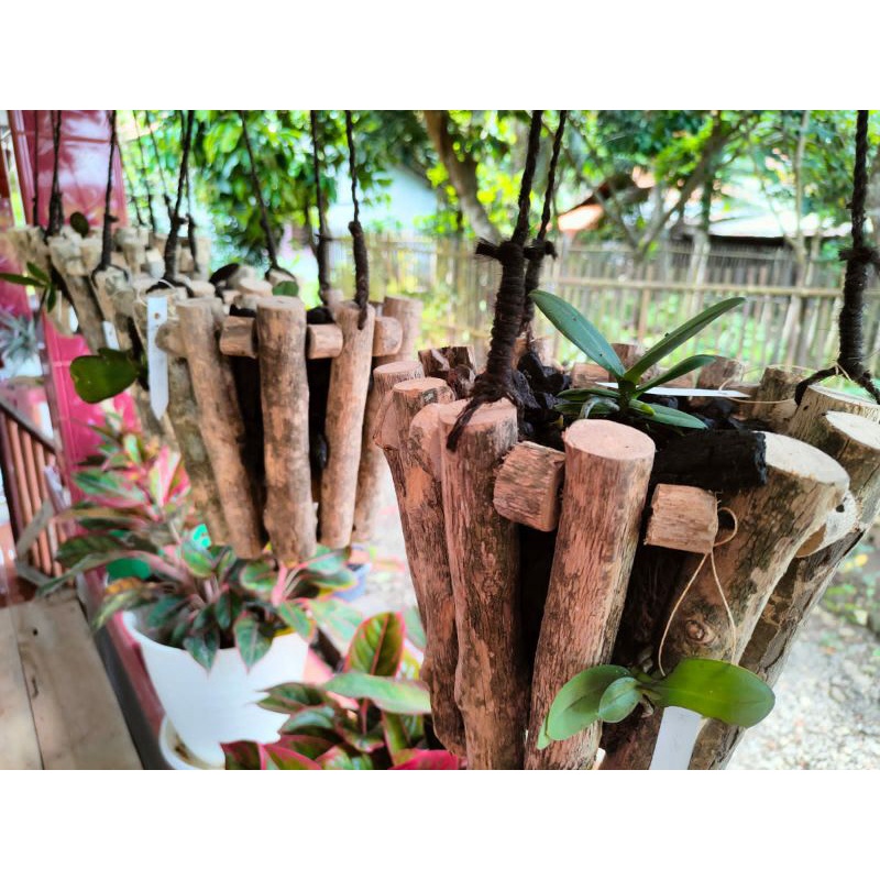 Jual pot kayu kopi bulat | Shopee Indonesia