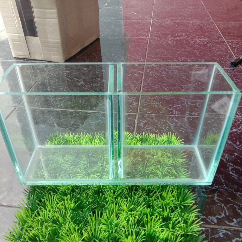 Jual Aquarium cupang 30x10x15 - 2 ruang double sekat | Shopee Indonesia